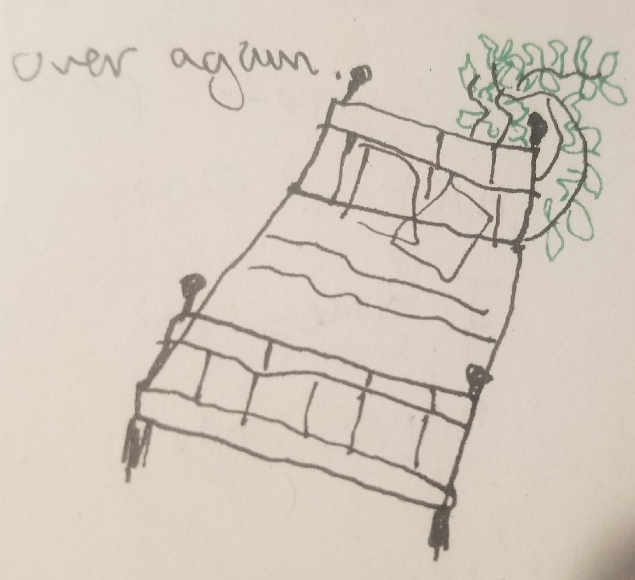 Irene Trejo – each drop carries a story-sound – A row of trees